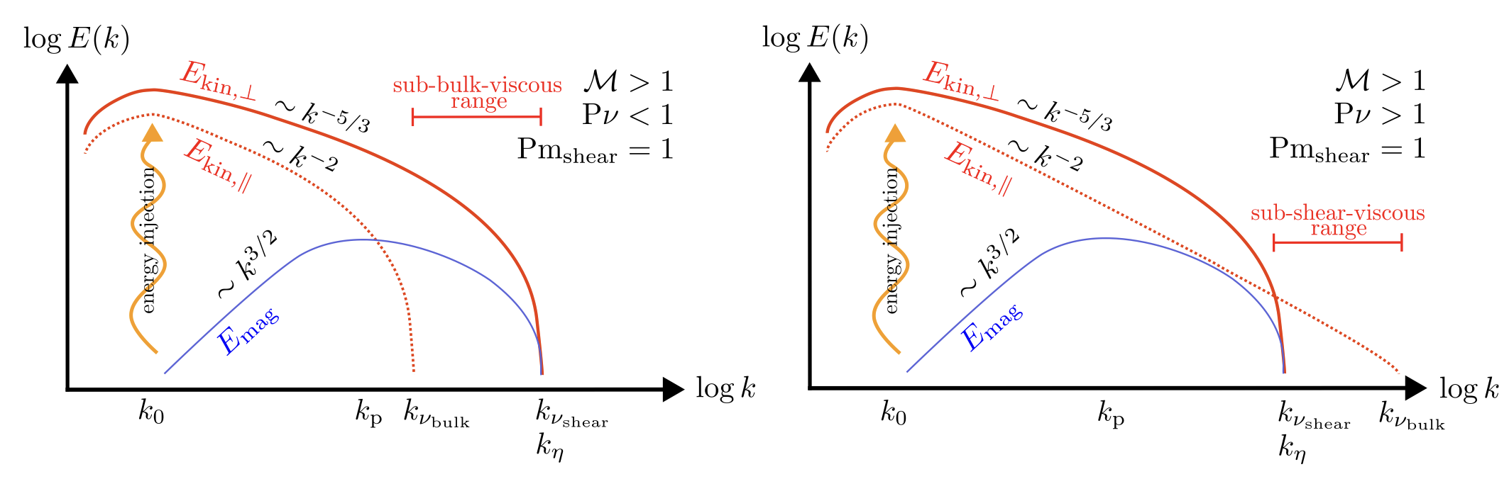 Taking control of compressible modes: bulk viscosity and the turbulent dynamo | James R. Beattie