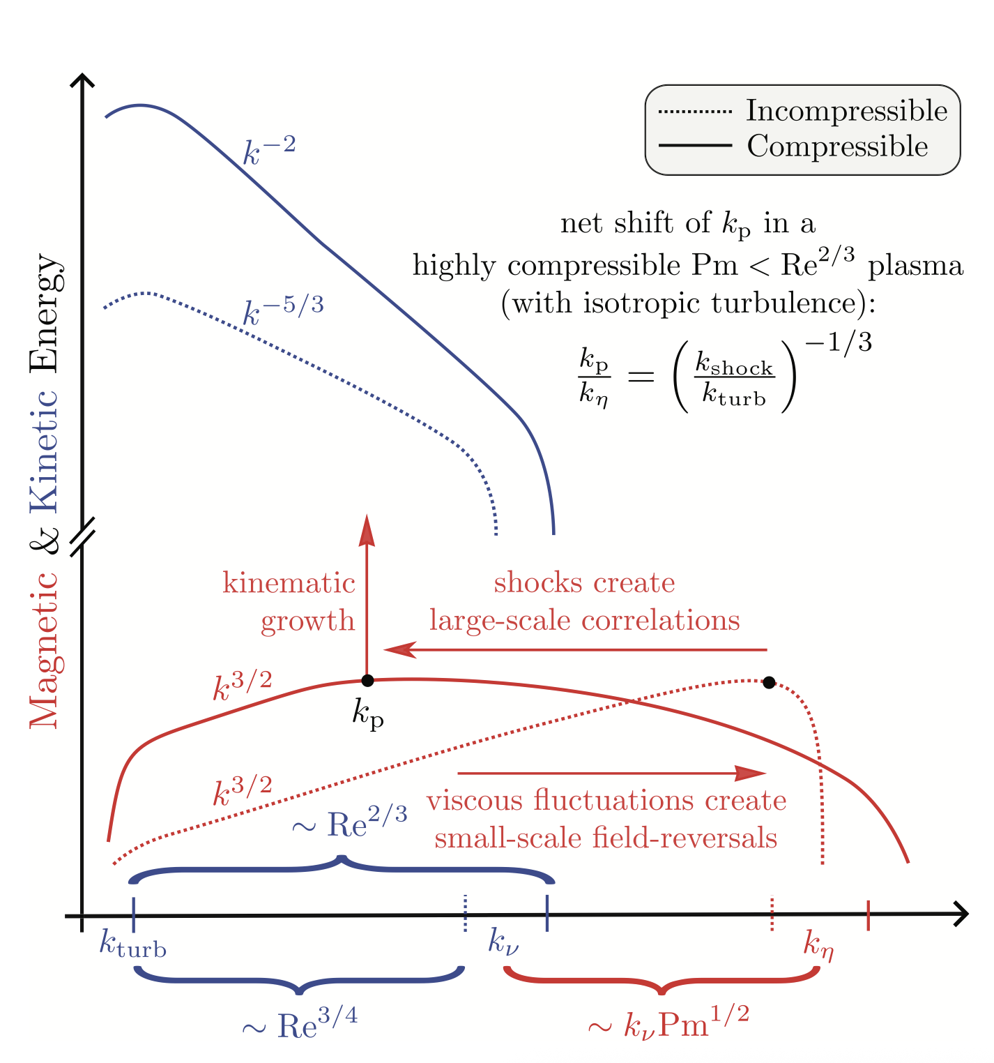 Fundamental MHD scales -- II: the kinematic phase of the supersonic small-scale dynamo | James R ...