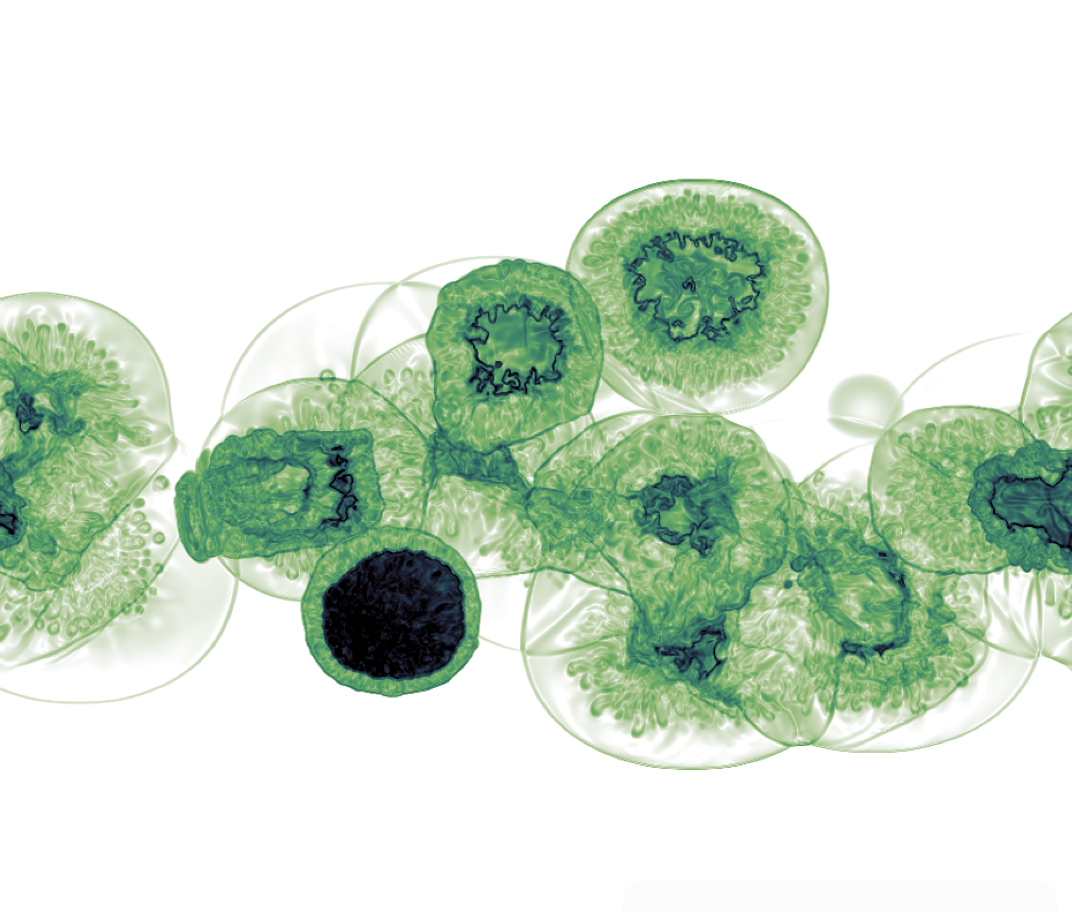 So long Kolmogorov: the forward and backward turbulence cascades in a supernovae-driven ...